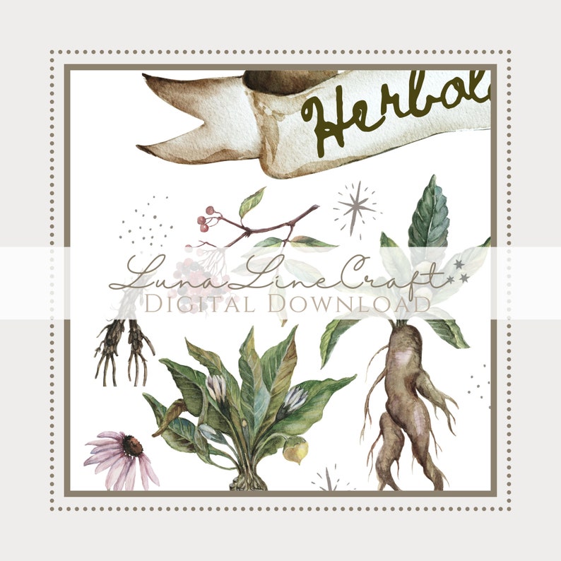 Herbology Medicinal Plant Chart Magic Botanical Watercolor - Etsy