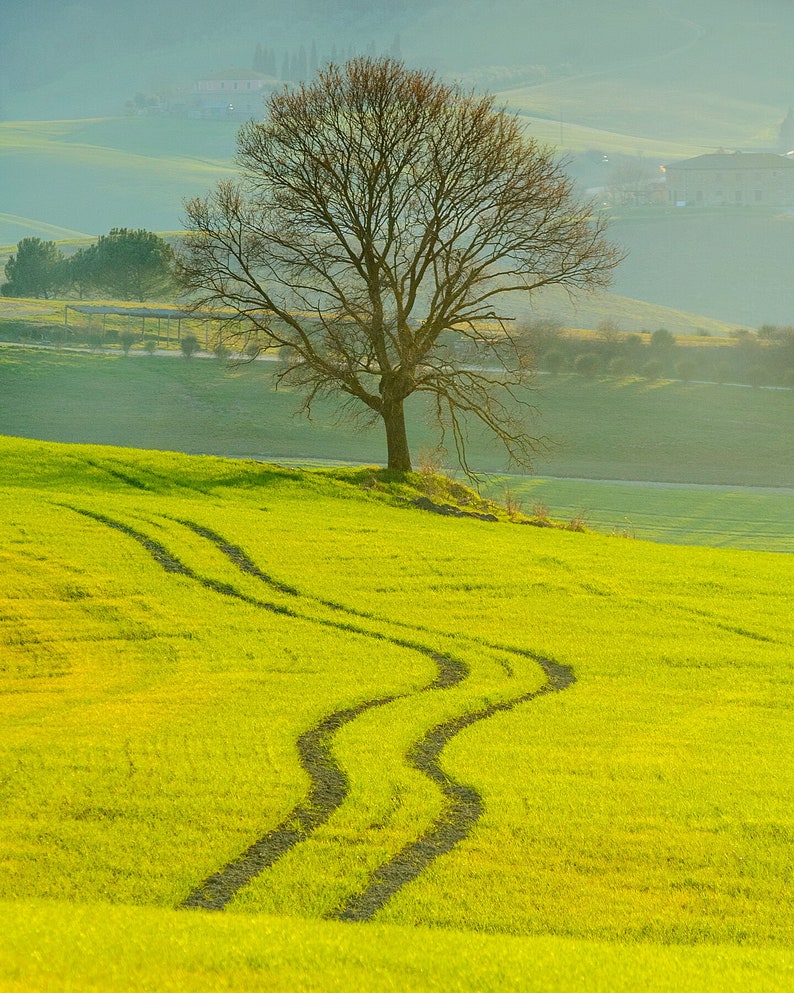 Way Back Home Fine Art Print of a Scene in Valdorcia, Italy, Printed on ...