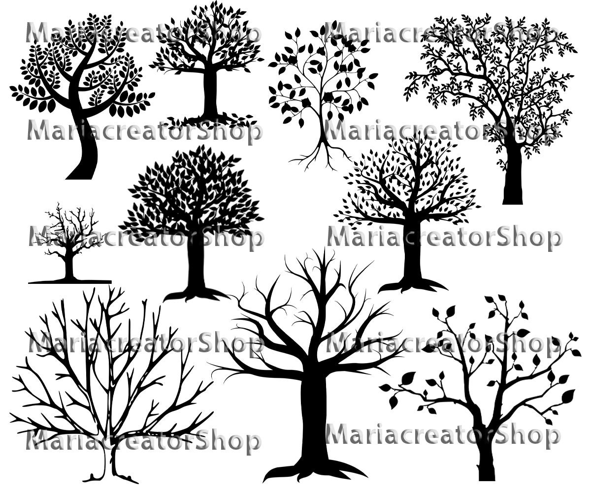 10 árboles de archivos. Formato SVG/PNG. Paquete de árboles. Archivos ...
