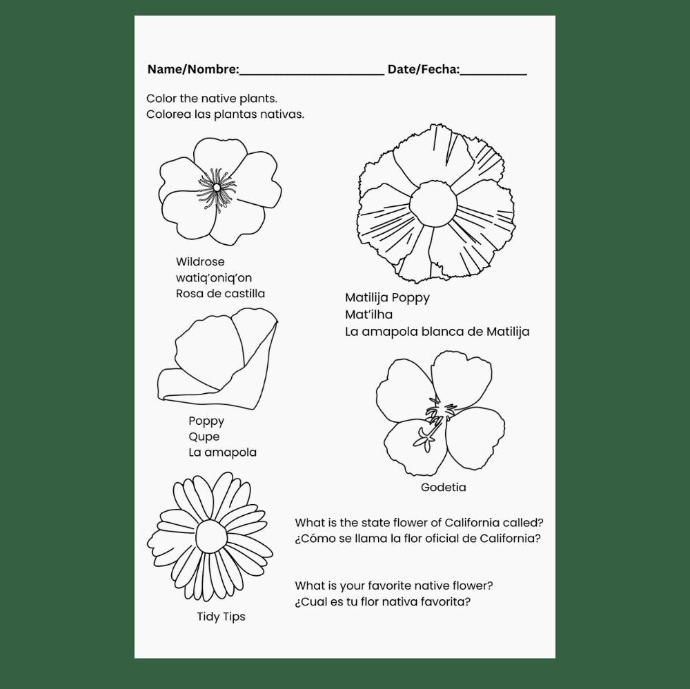 California Native Plants Educational Coloring Pages, Printable ...