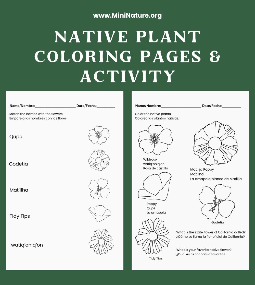 California Native Plants Educational Coloring Pages, Printable ...