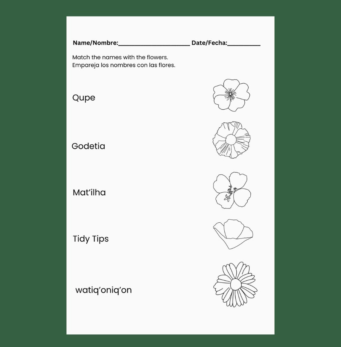 California Native Plants Educational Coloring Pages, Printable ...