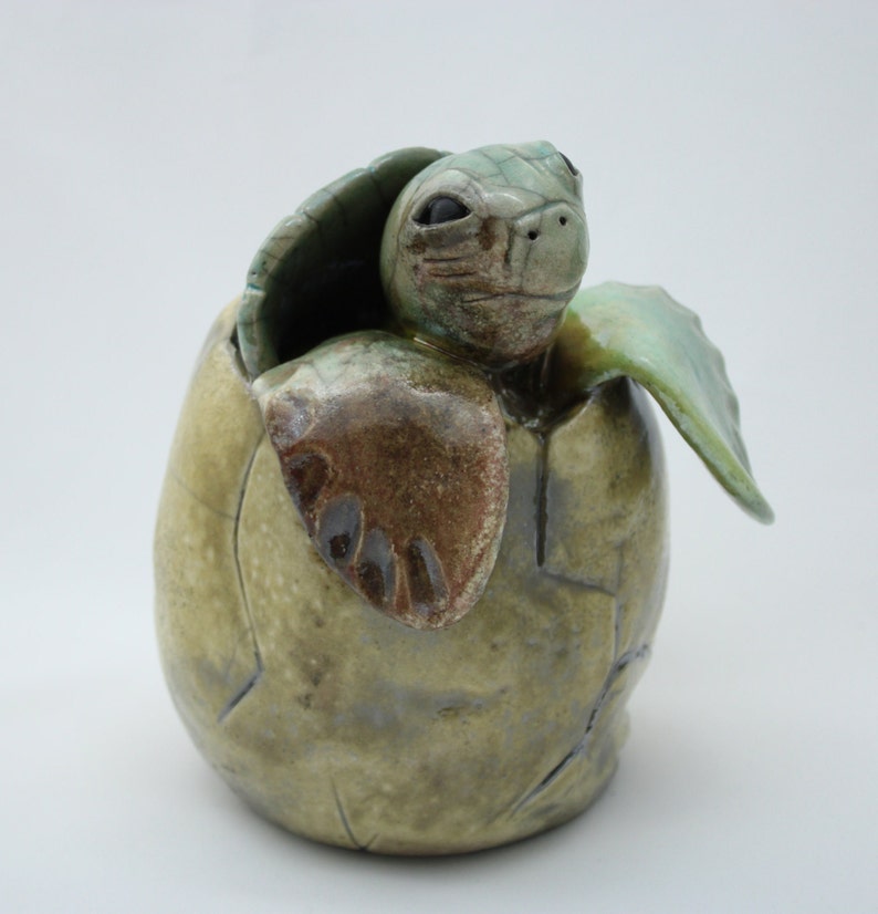 Baby Turtle in Shell - Etsy
