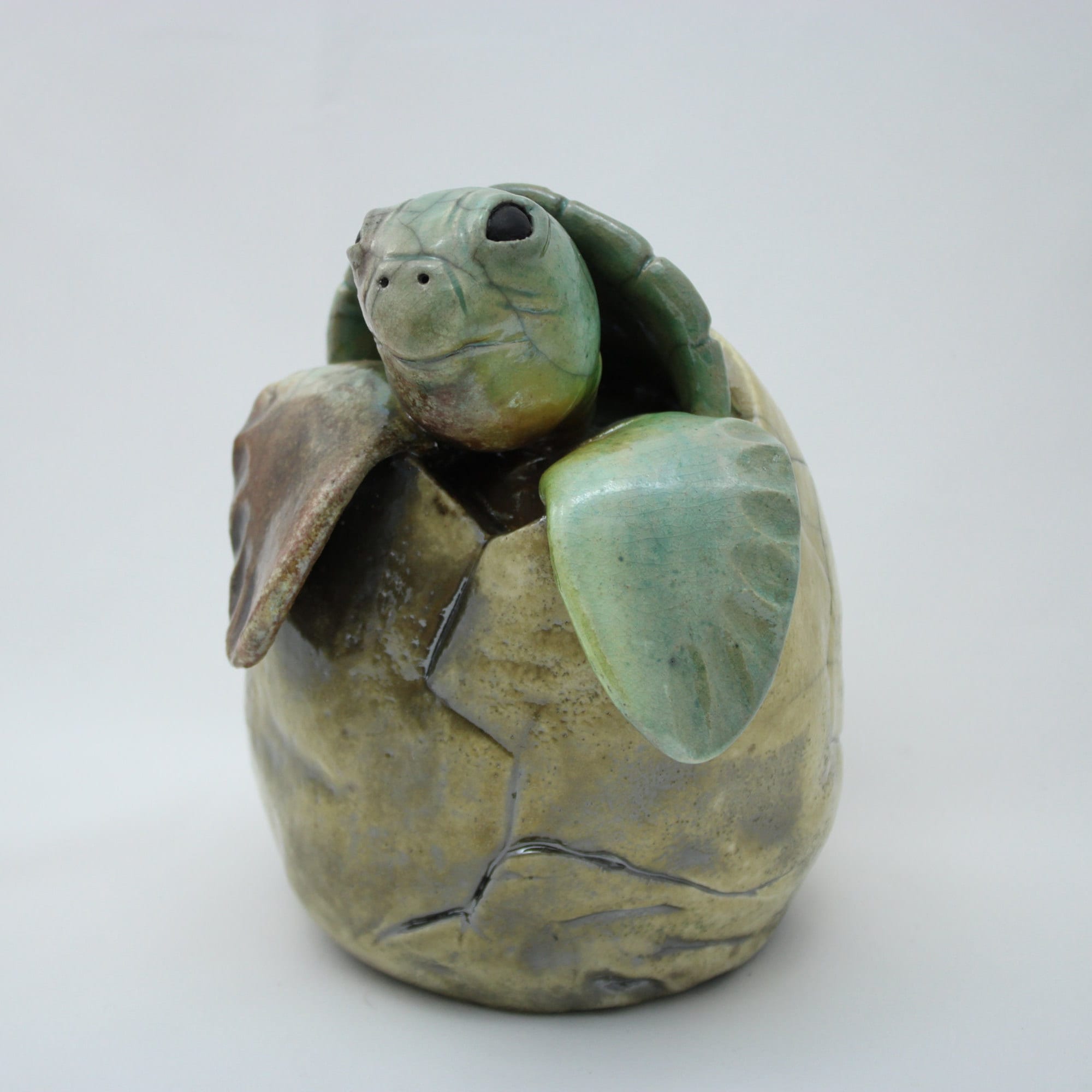 Baby Turtle in Shell - Etsy