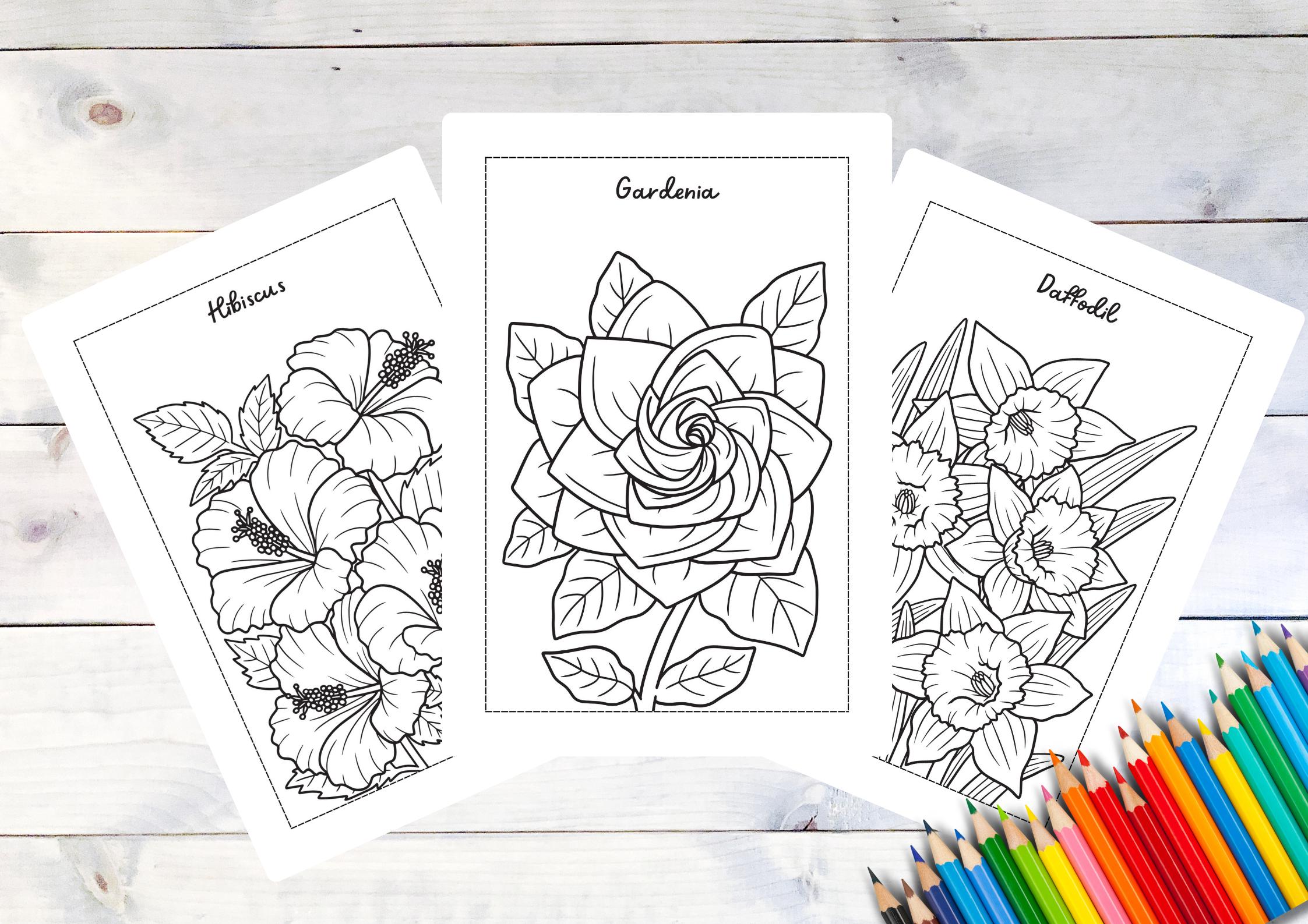 Adult Coloring Page | Flower Mandala | Instant Download I Printable ...