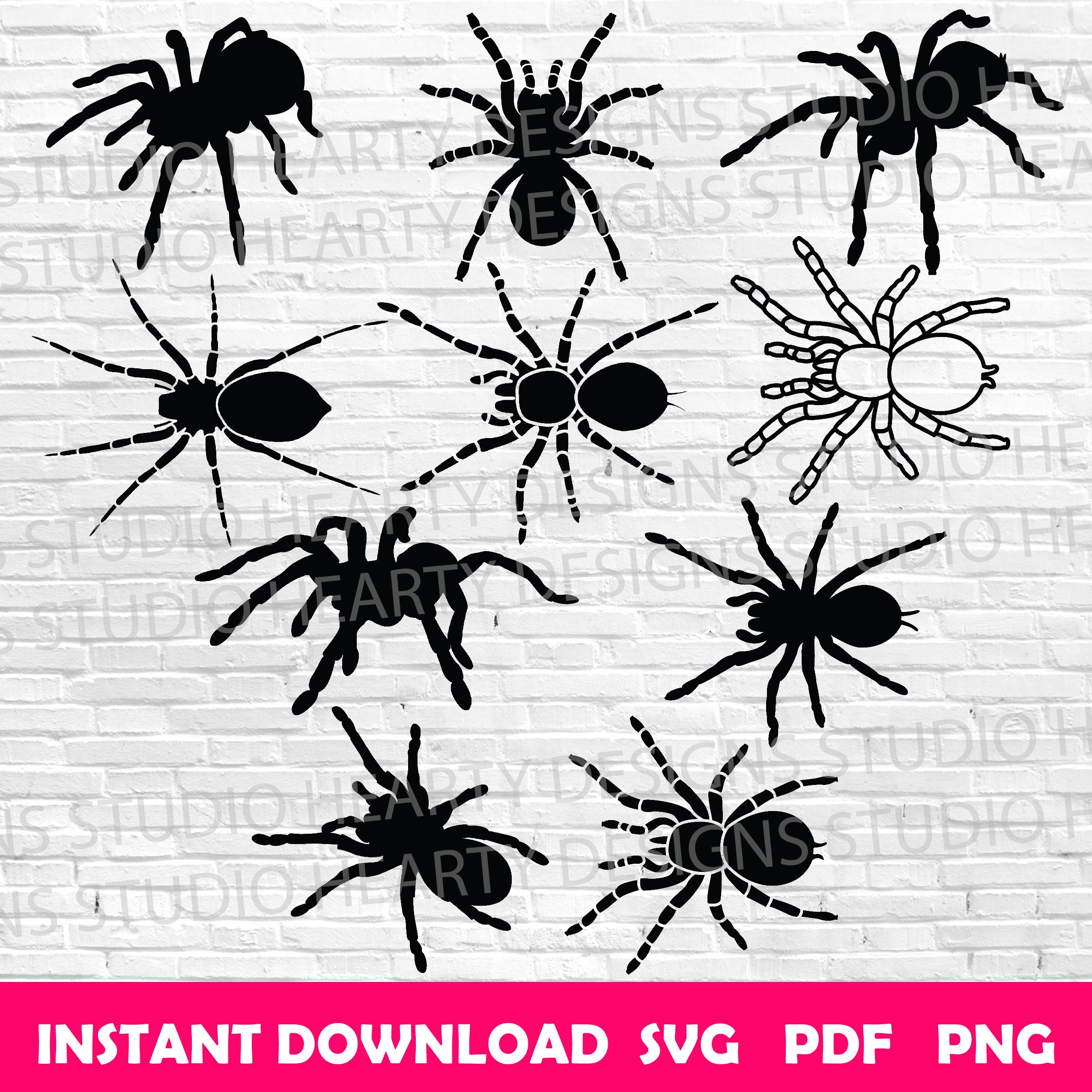 Tarantula Svg Tarantula Svg Cut Files Tarantula Cricut Tarantula Vector ...