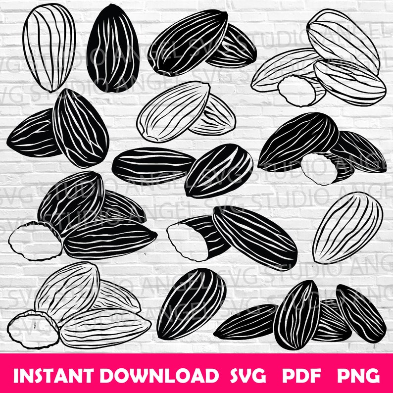 Almond Svg Almonds Svg Almond Cricut Almond Clipart Almond Vector ...