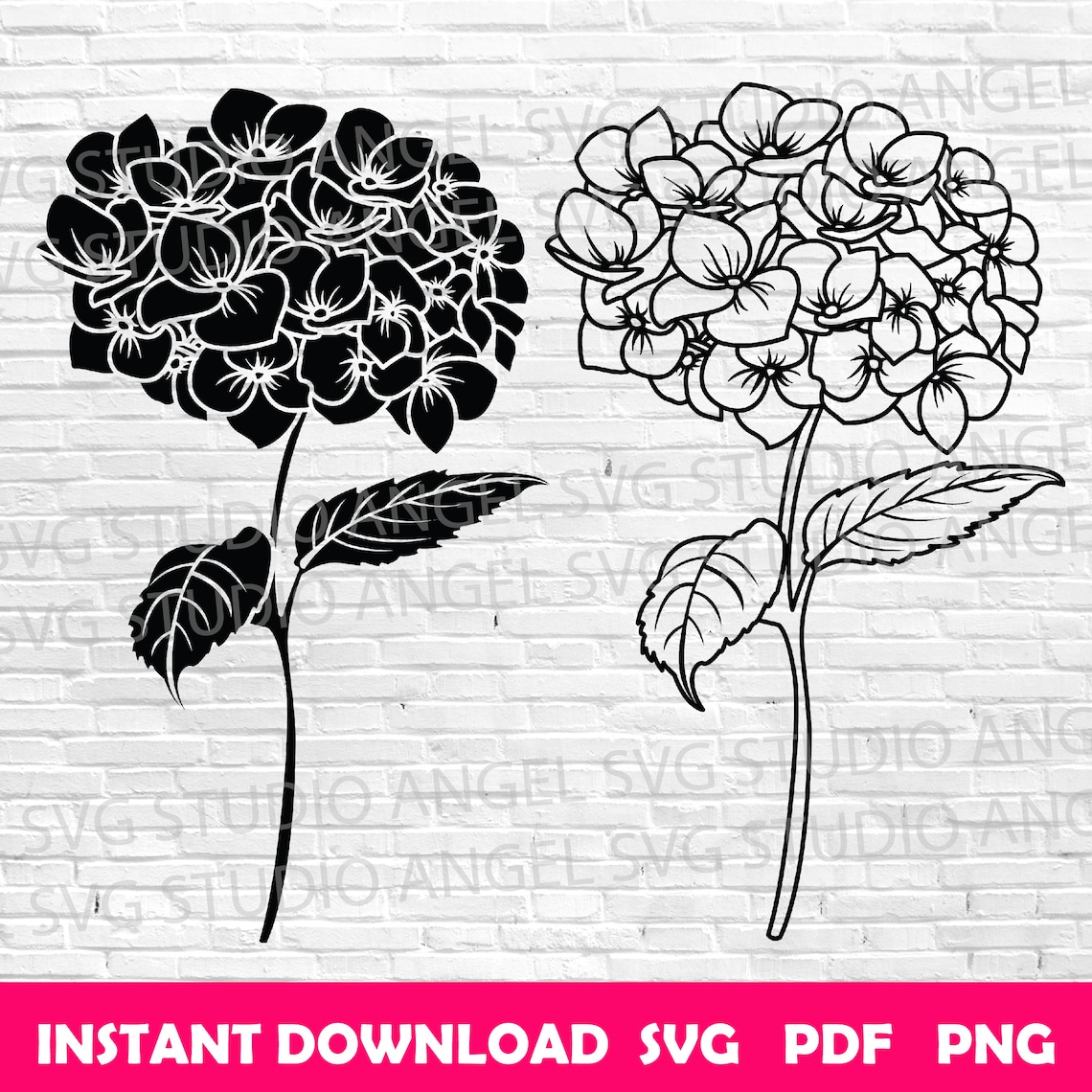Hydrangea Svg Hydrangea Cricut Svg Hydrangea Clipart Hydrangea Vector ...