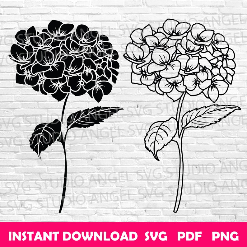 Hydrangea Svg Hydrangea Cricut Svg Hydrangea Clipart Hydrangea Vector ...