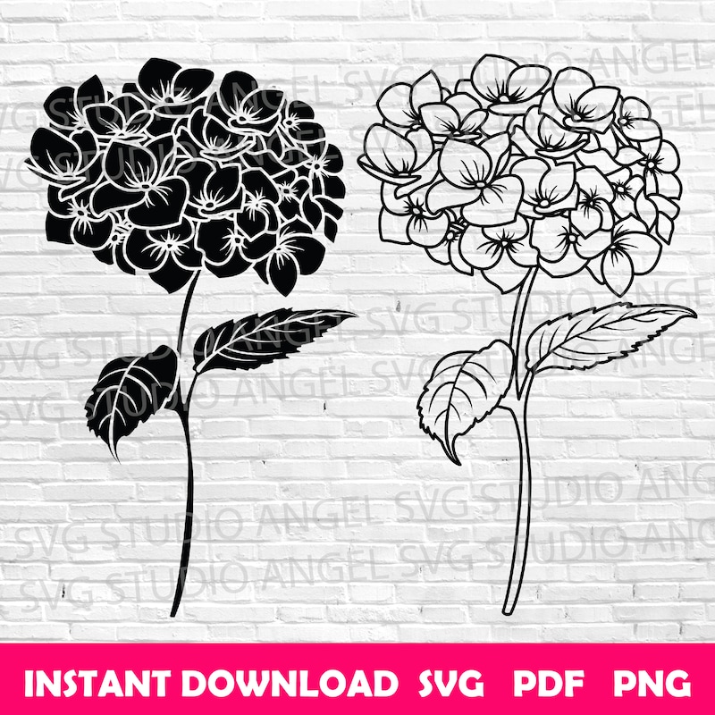 Hydrangeas - Etsy