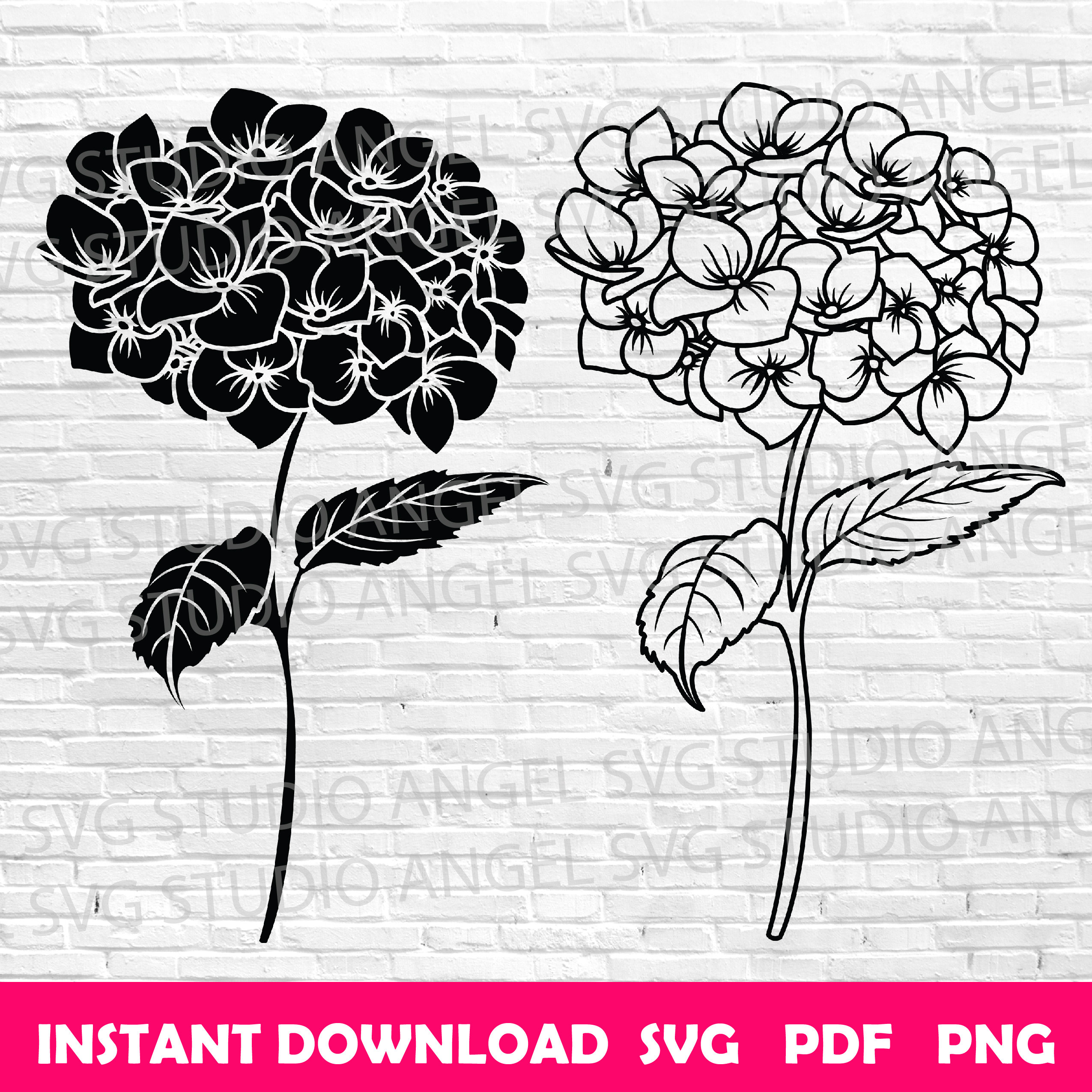 Hydrangea Svg Hydrangea Cricut Svg Hydrangea Clipart Hydrangea Vector ...