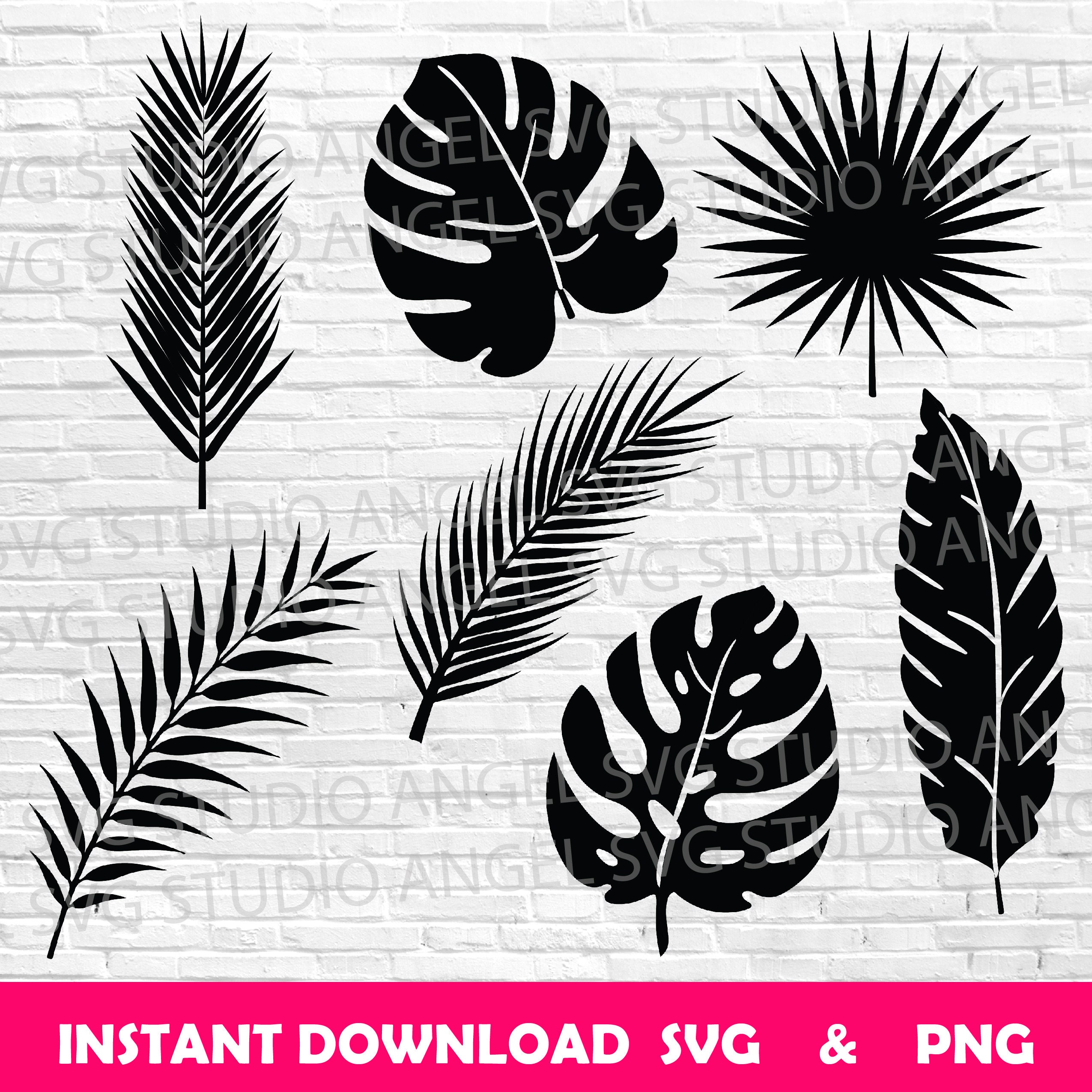Palm Leaf Svg Monstera Svg Fan Palm Svg Tropical Leaves Svg Monstera ...