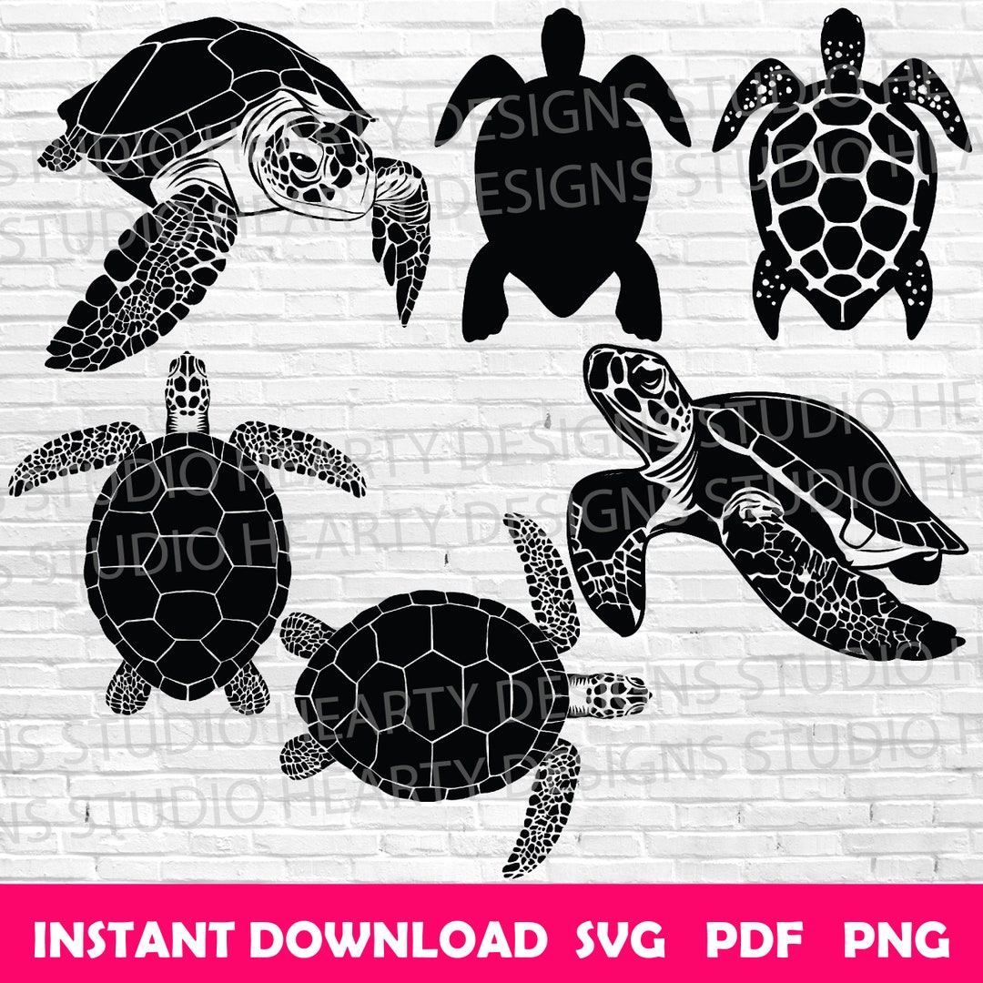 Turtle Svg Turtle Cricut Turtle Svg Bundle Turtle Vector Turtle Clipart ...