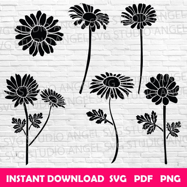 Daisy Svg - Etsy