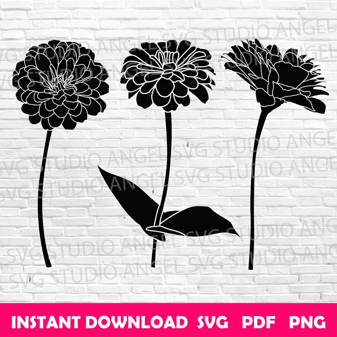 Zinnia Svg Zinnia Flower Svg Zinnia Cricut Svg Zinnia Clipart Zinnia ...