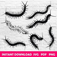 Bug SVG, Insect on the Skull Tongue, Goth Svg, Halloween Party Clipart ...