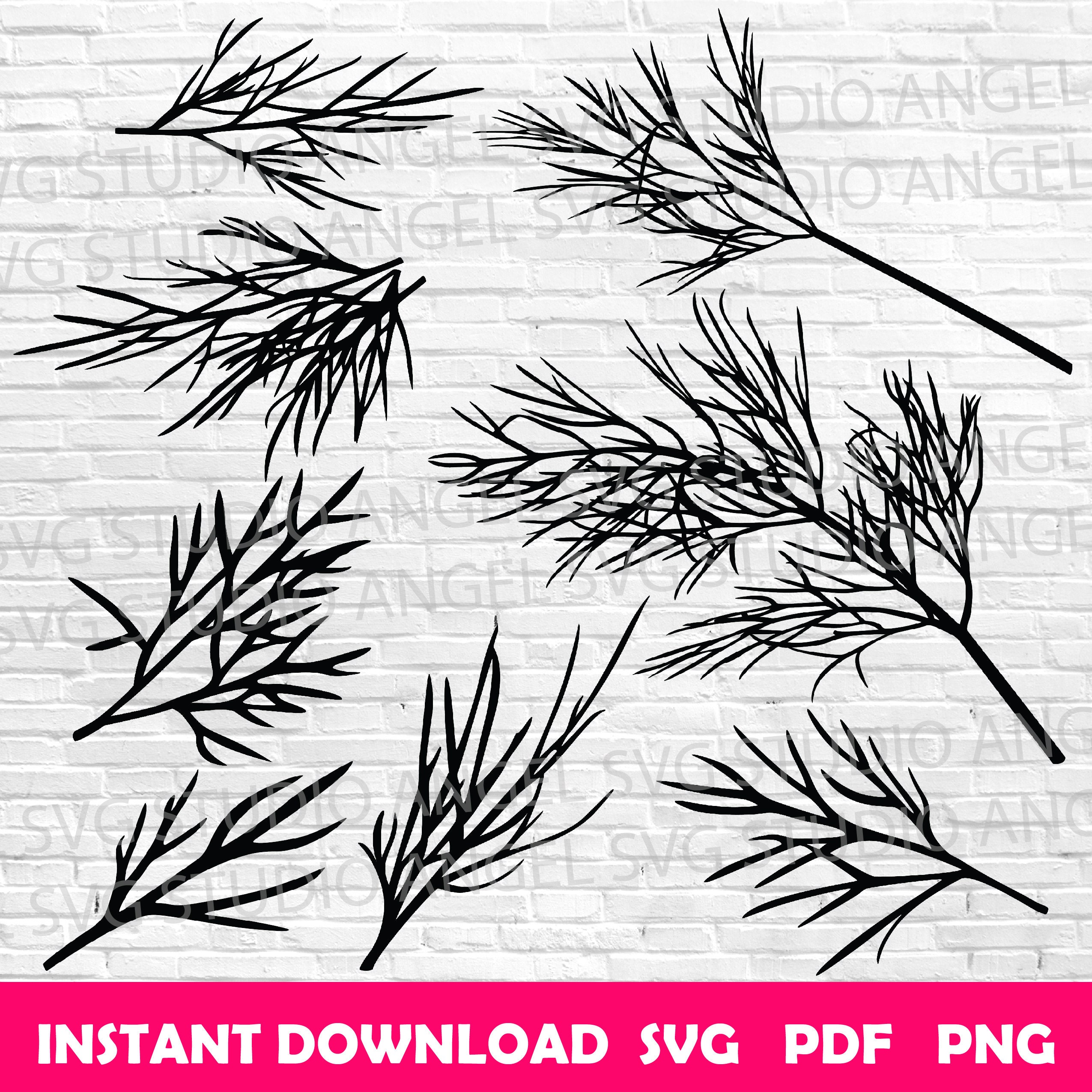 Dill Svg Dill Herb Svg Dill Cricut Dill Clipart Dill Vector Dill Svg ...