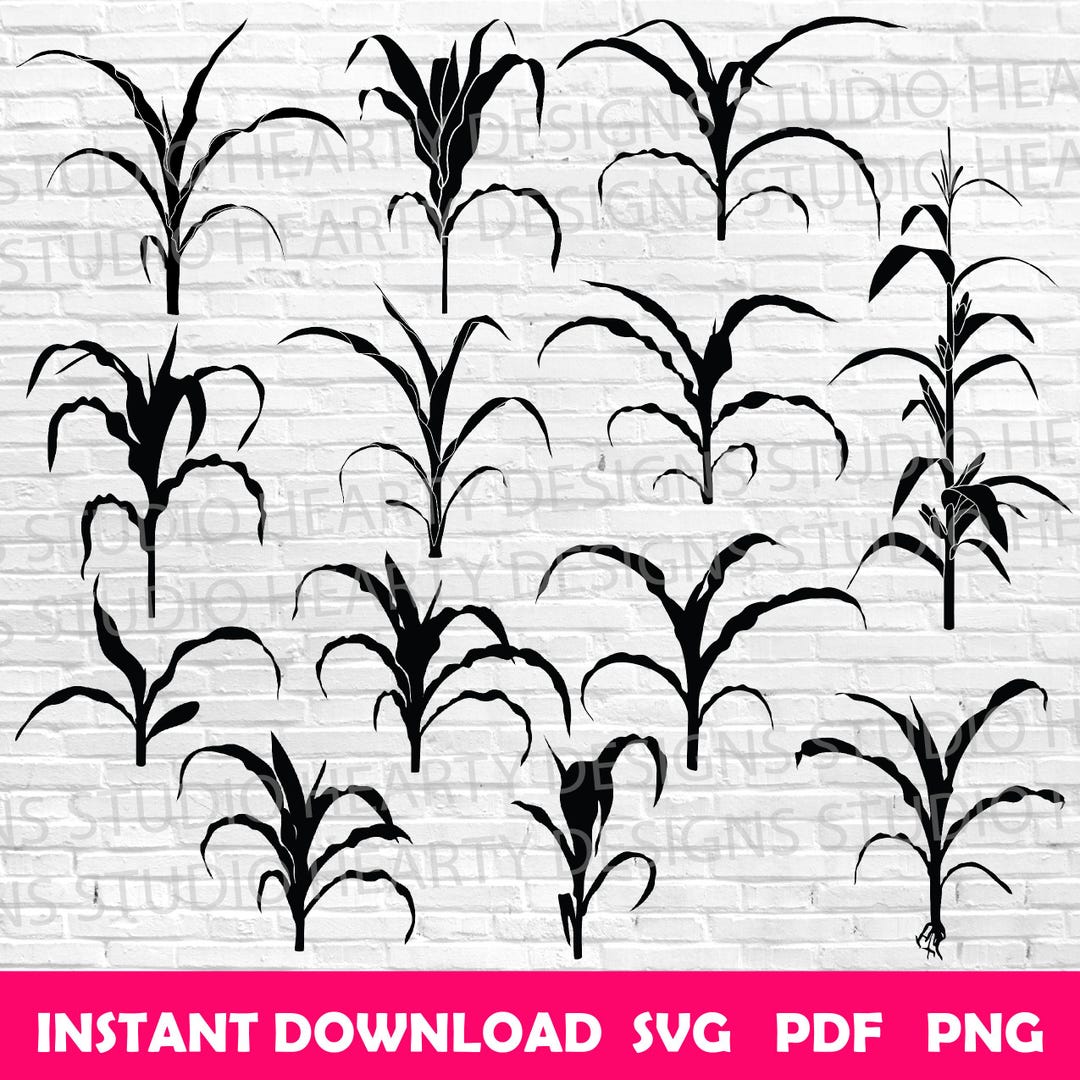 Corn Stalk SVG Bundle: Cut Files for Silhouette Cricut (digital ...