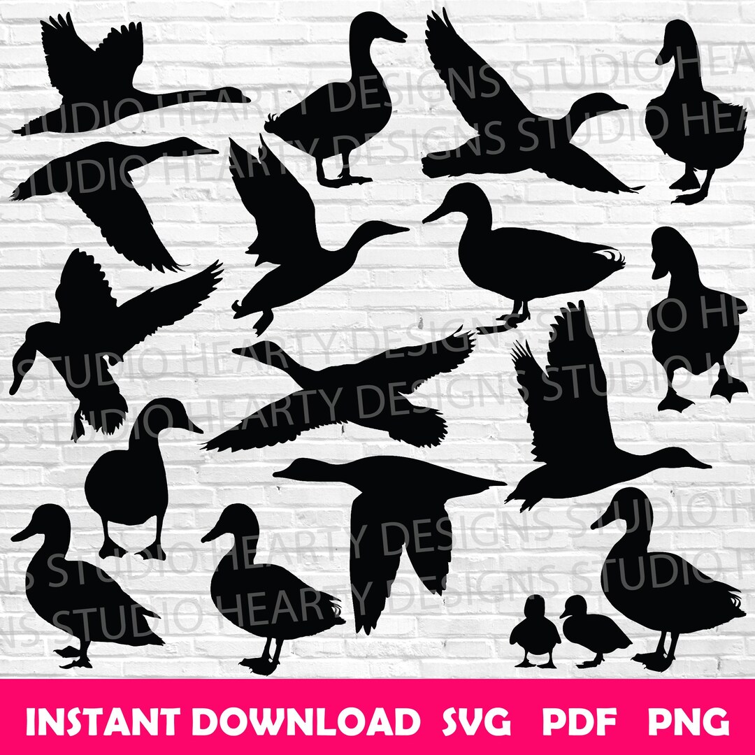 Duck Svg Duck Cricut Duck Clipart Duck Vector Duck Silhouette Duck Svg ...