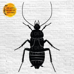 Cockroach Svg Roaches Svg Cockroach Cricut Cockroach Vector Cockroach ...