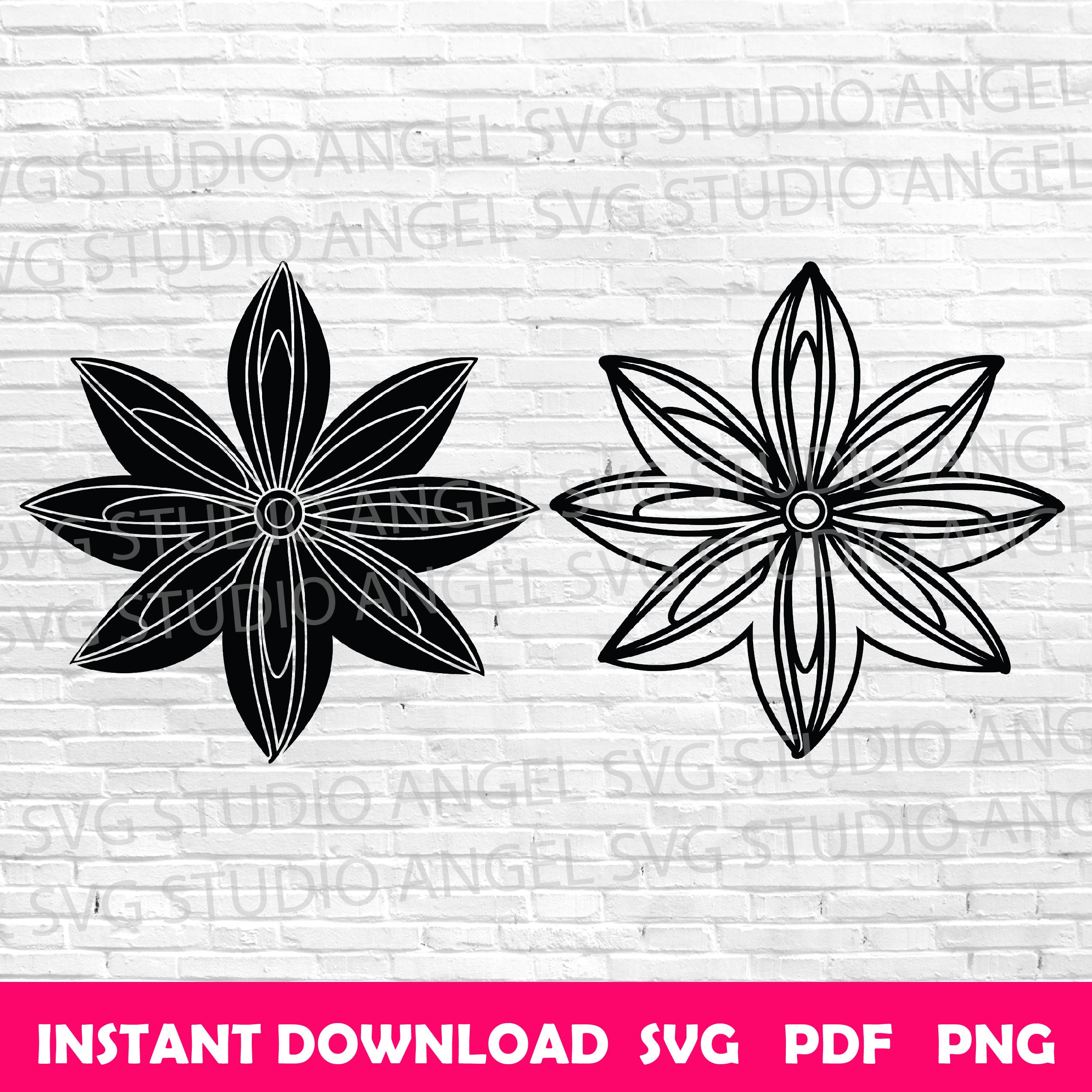 Star Anise Svg Star Anise Spice Svg Star Anise Cricut Svg Star - Etsy