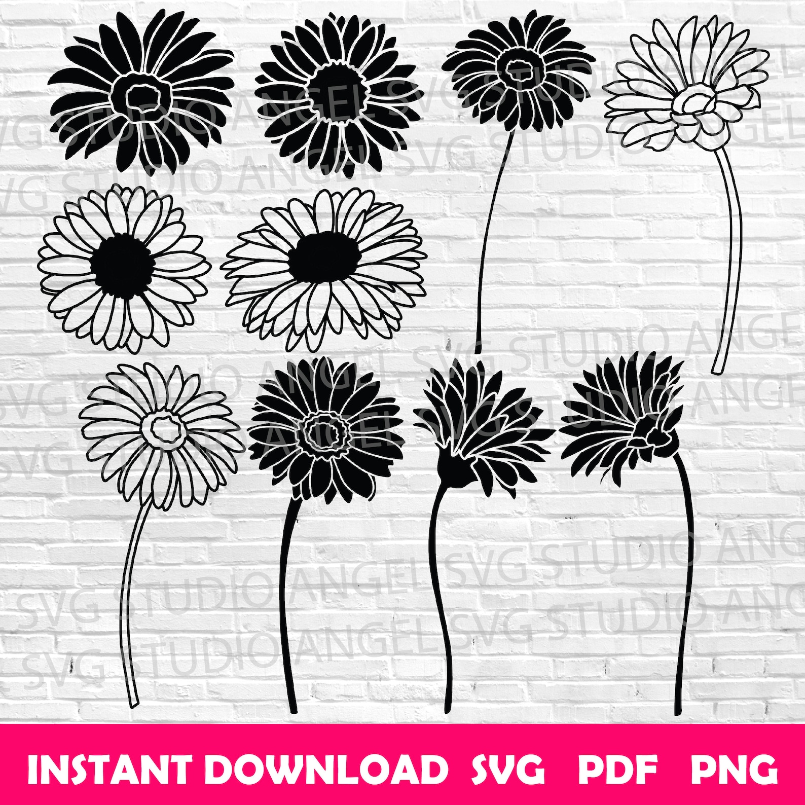Gerbera Flower SVG Bundle: Cricut Clipart, Vector, Silhouette (digital ...