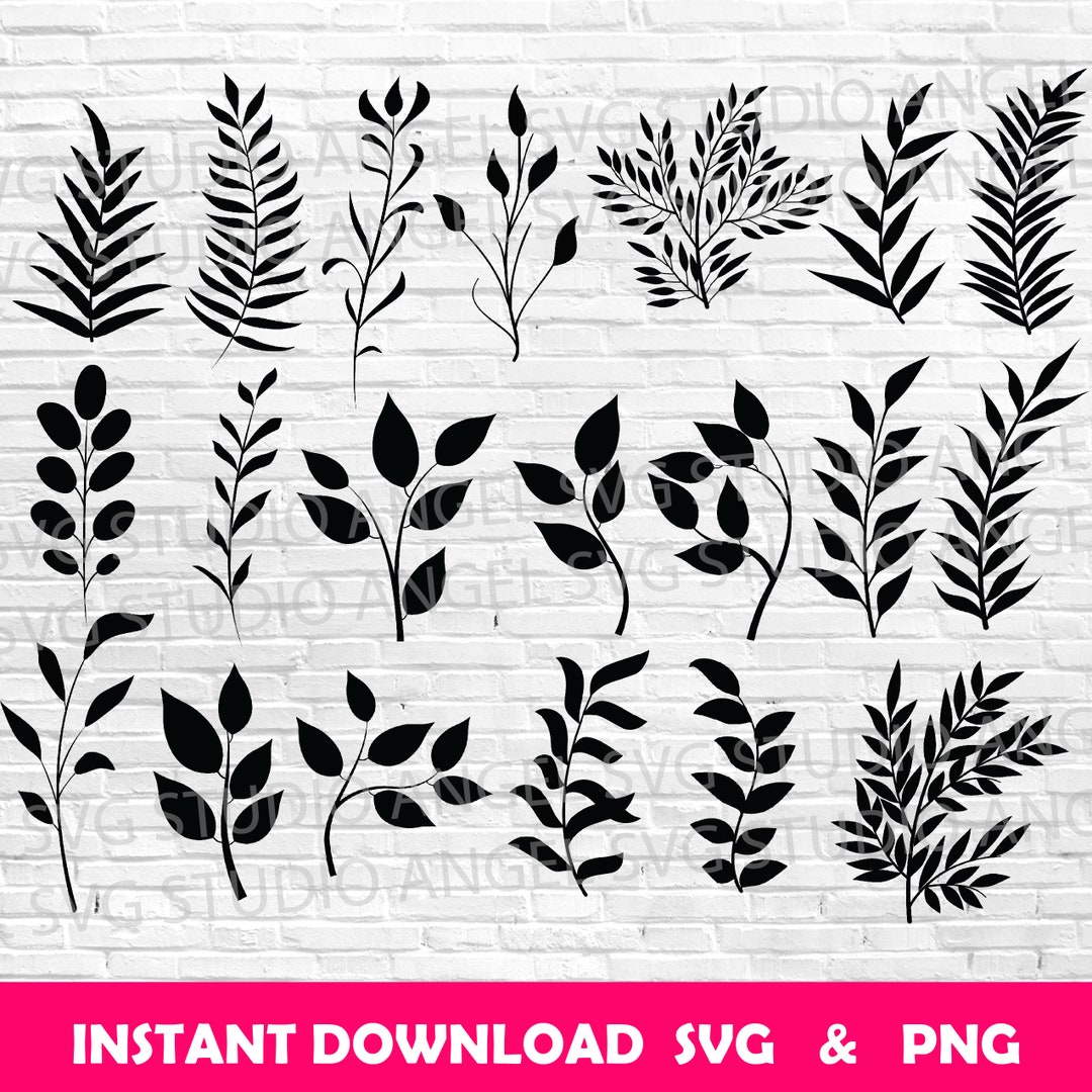 Leaf SVG Bundle: Botanical Leaves Clipart, Herbs Vector (digital ...