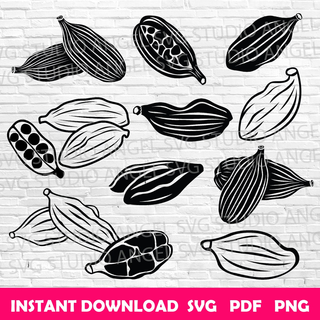 Cardamom Svg Cardamom Pods Svg Cardamom Cricut Cardamom Svg Cut Files ...