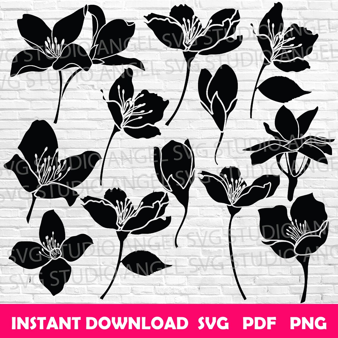 Jasmine Svg Jasmine Flower Svg Jasmine Cricut Svg Jasmine Svg - Etsy