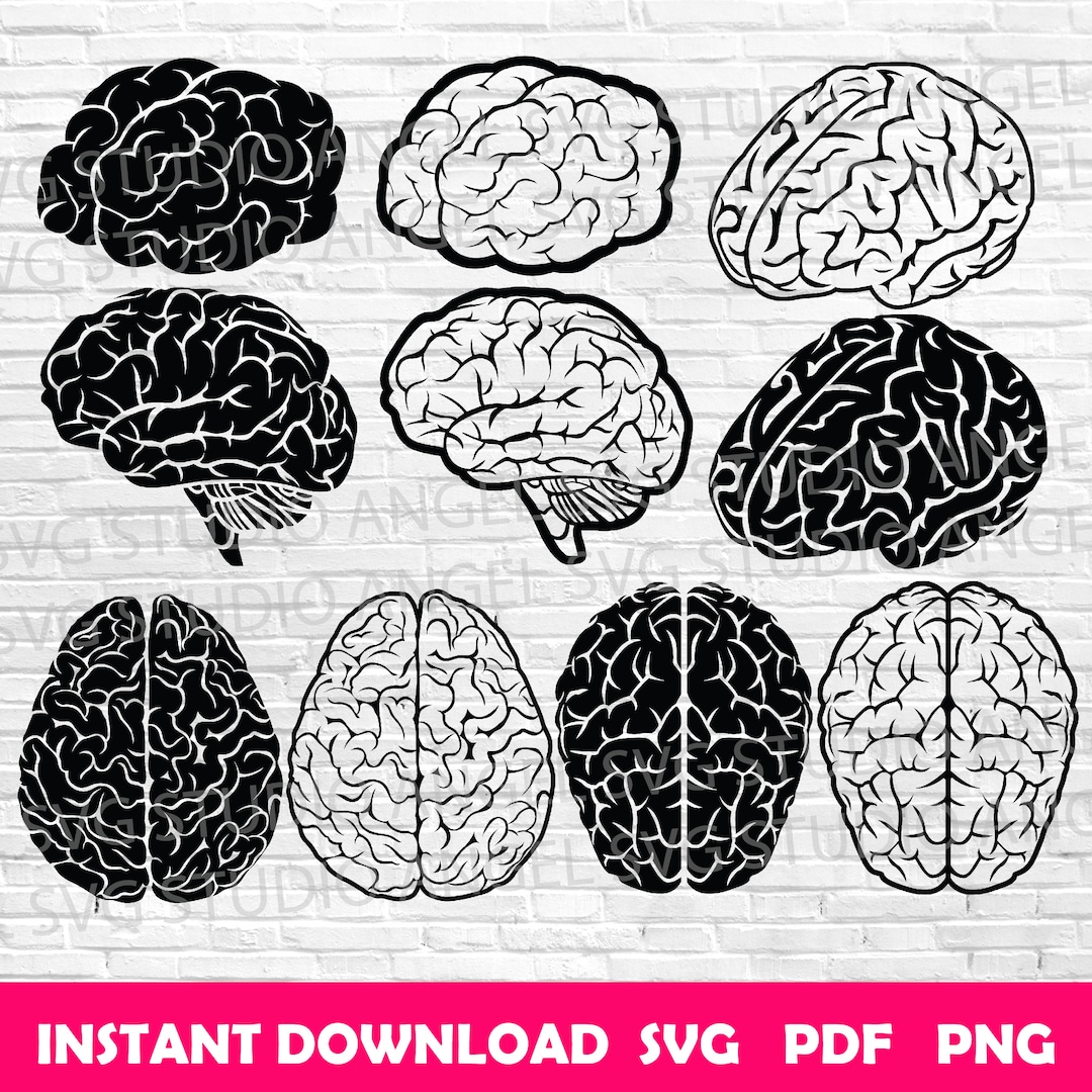 Brain Svg Human Brain Svg Human Brain Cricut Brain Clipart Brain Vector ...