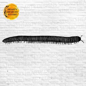 Millipede SVG Bundle: Clipart, Vector, Cut Files (digital Download) - Etsy