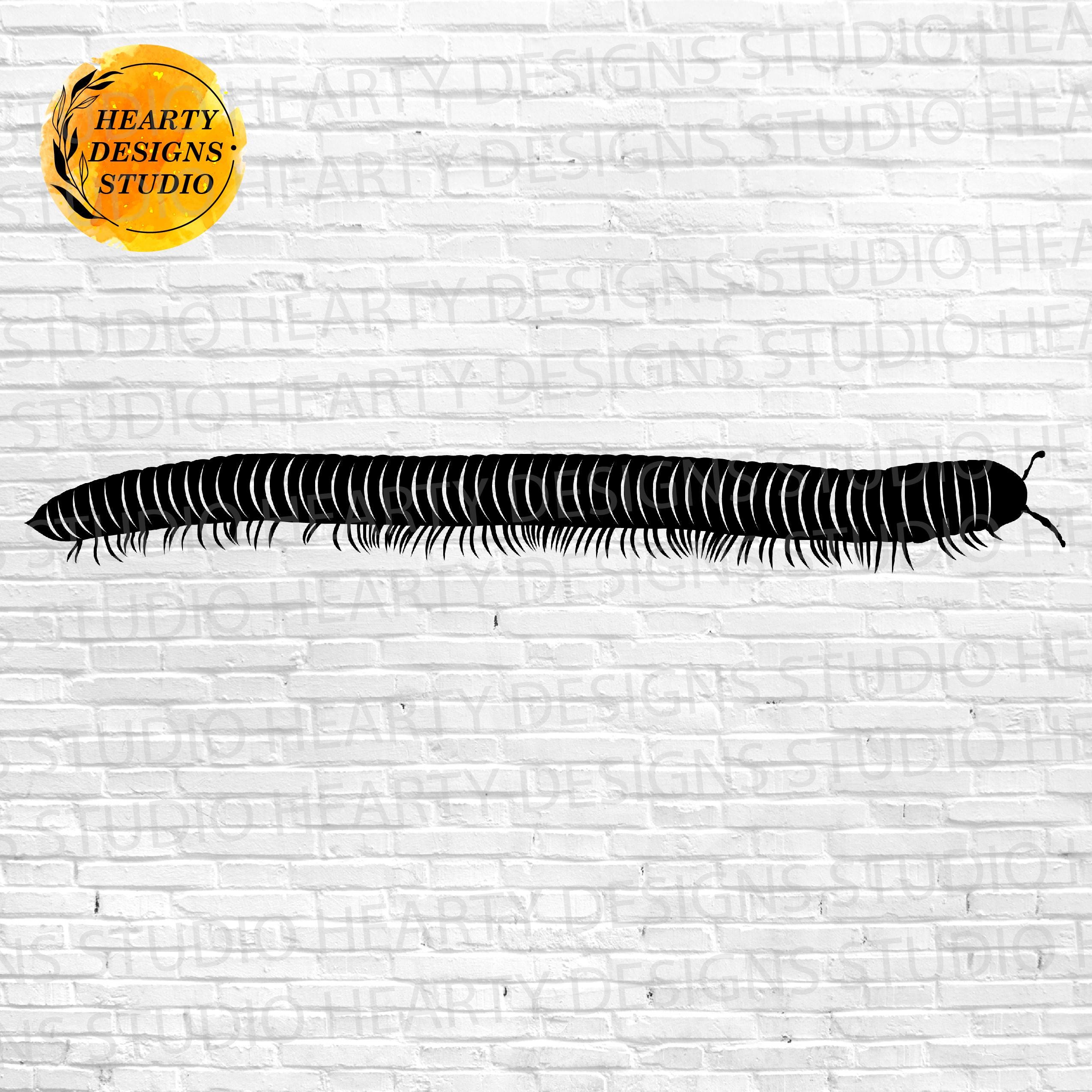 Millipede SVG Bundle: Clipart, Vector, Cut Files (digital Download) - Etsy