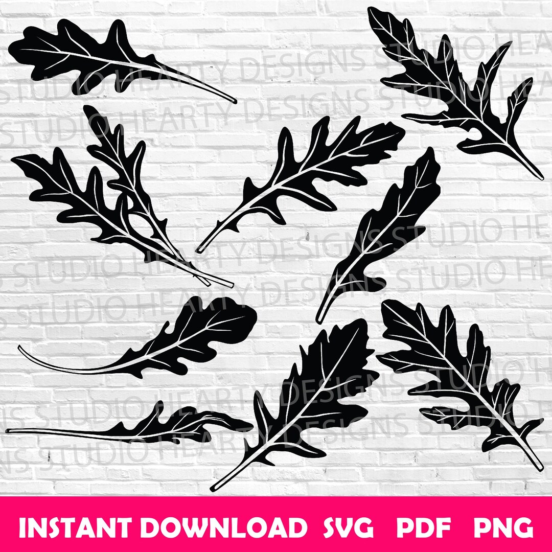 Arugula Leaf SVG Bundle: Cut Files for Cricut Silhouette (digital ...