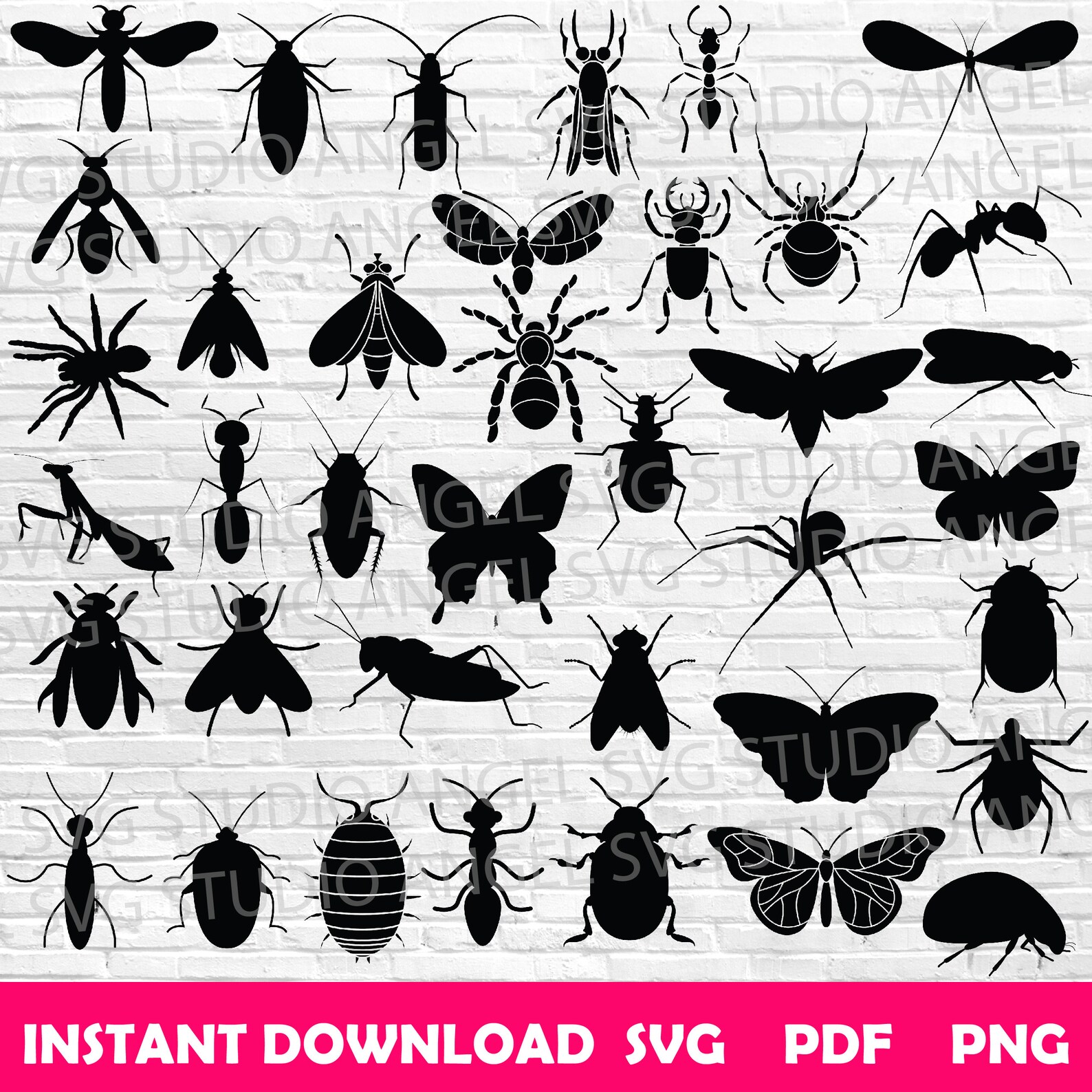 Insects Svg Insects Svg Design Insects Cricut Svg Insects - Etsy