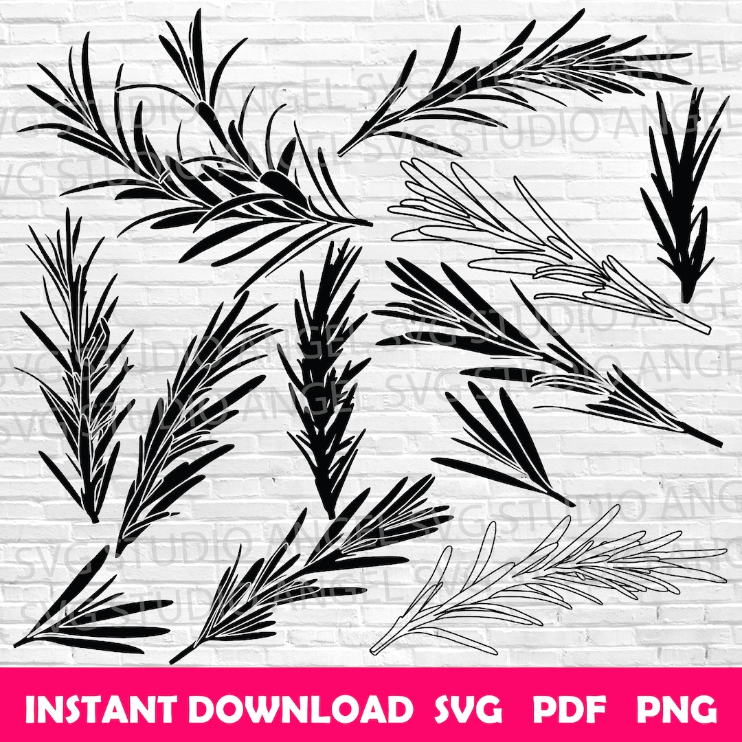 Rosemary Svg Rosemary Leaf Svg Rosemary Cricut Rosemary Vector Rosemary ...