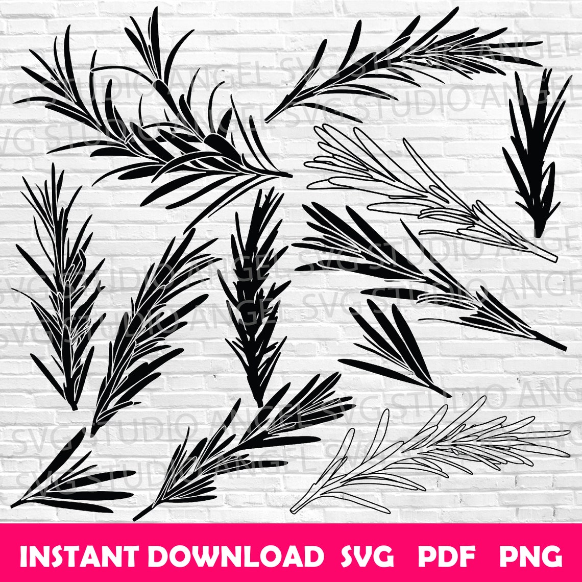 Rosemary Svg Rosemary Leaf Svg Rosemary Cricut Rosemary Vector - Etsy