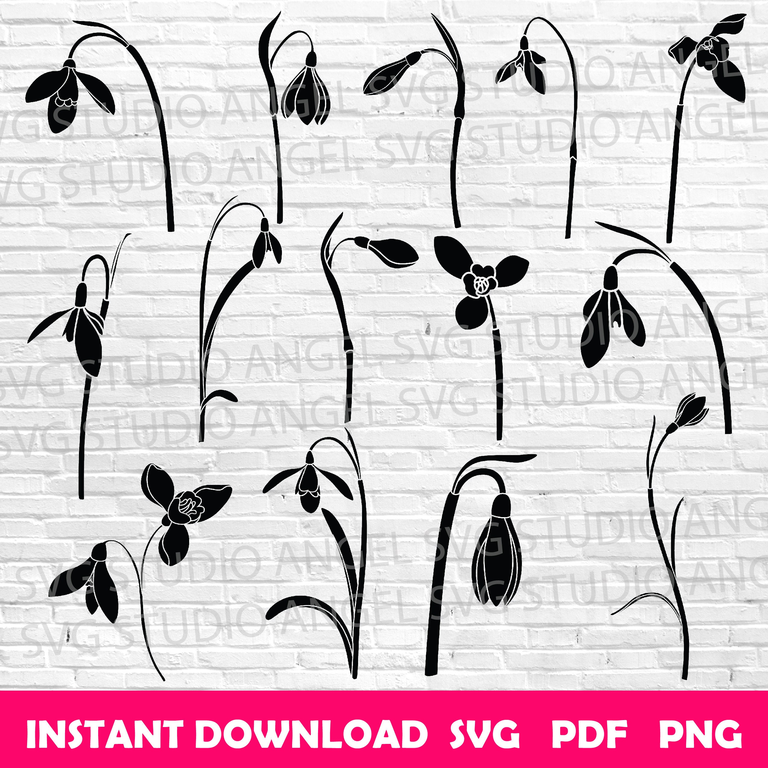 Snowdrop Flower Svg Snowdrop Svg Snowdrop Cricut Snowdrop Svg Cut Files ...