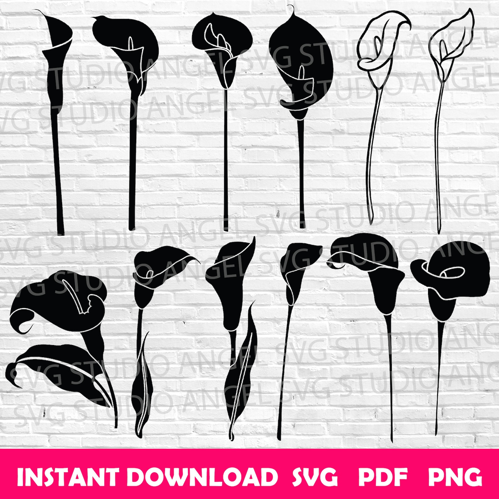 Calla Lily SVG Bundle: Flower Vector Cut Files (digital Download) - Etsy