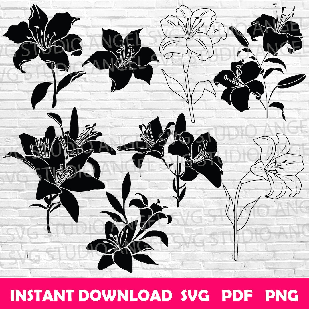 Lily Svg Lily Cricut Lily Clipart Lily Vector Lily Flower Svg Lily ...