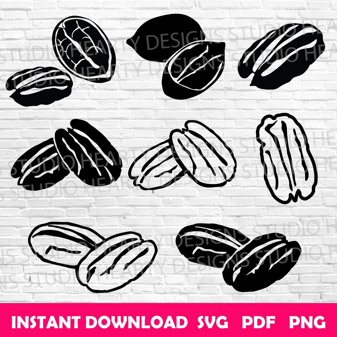 Pecan Nut SVG Bundle: Cut Files for Silhouette Cricut (digital Download ...