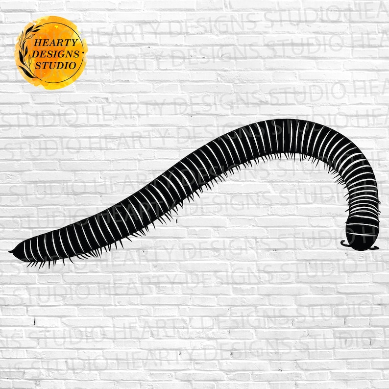 Millipede SVG Bundle: Clipart, Vector, Cut Files (digital Download) - Etsy