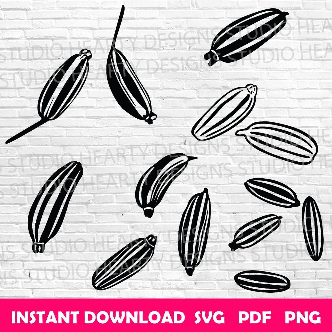 Fennel Seeds SVG Bundle: Cut Files for Silhouette Cricut (digital ...