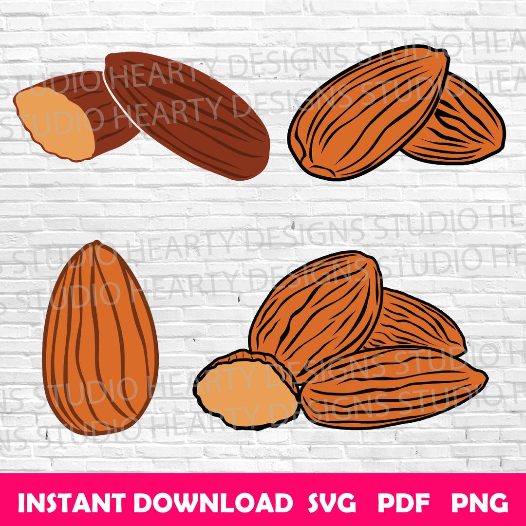Almond SVG PNG PDF Clipart Digital Cut File Download for Cricut ...