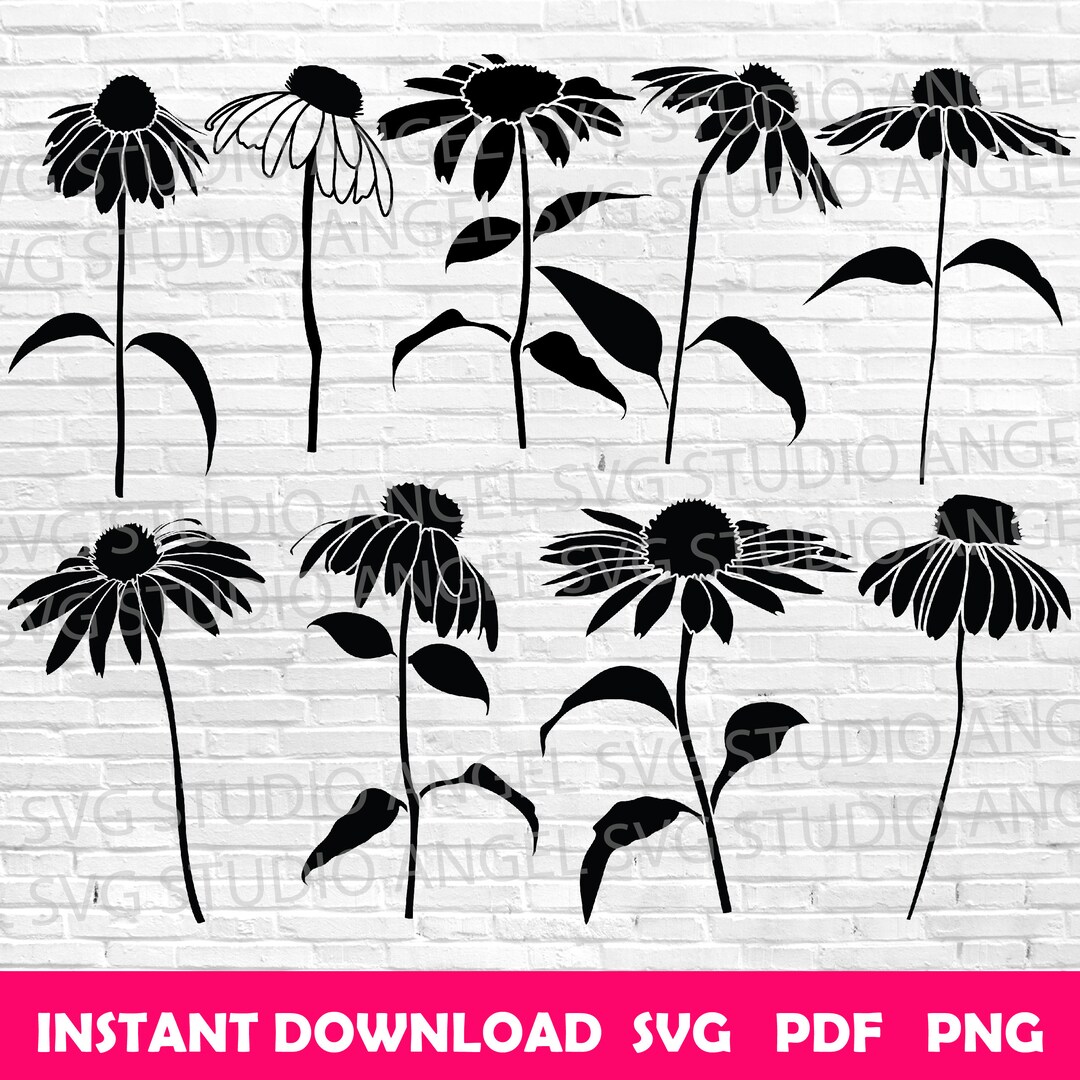 Coneflower SVG Bundle: Floral Cut Files (digital Download) - Etsy