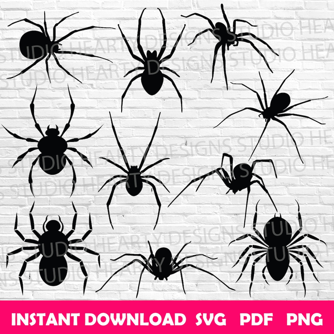 Spider Svg Spider Svg Cut Files Spider Cricut Spider Vector Spider ...