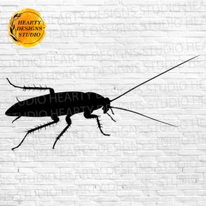 Cockroach Svg Roaches Svg Cockroach Cricut Cockroach Vector Cockroach ...