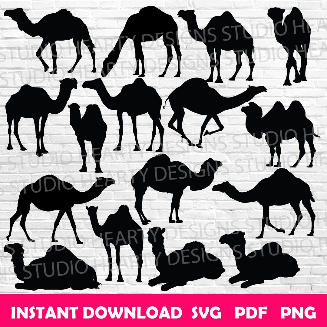 Camel Svg Camel Cricut Camel Clipart Camel Vector Camel Silhouette Camel Svg Cut Files Camel Svg ...