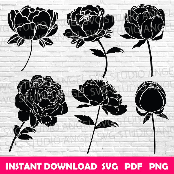 Peony Svg - Etsy
