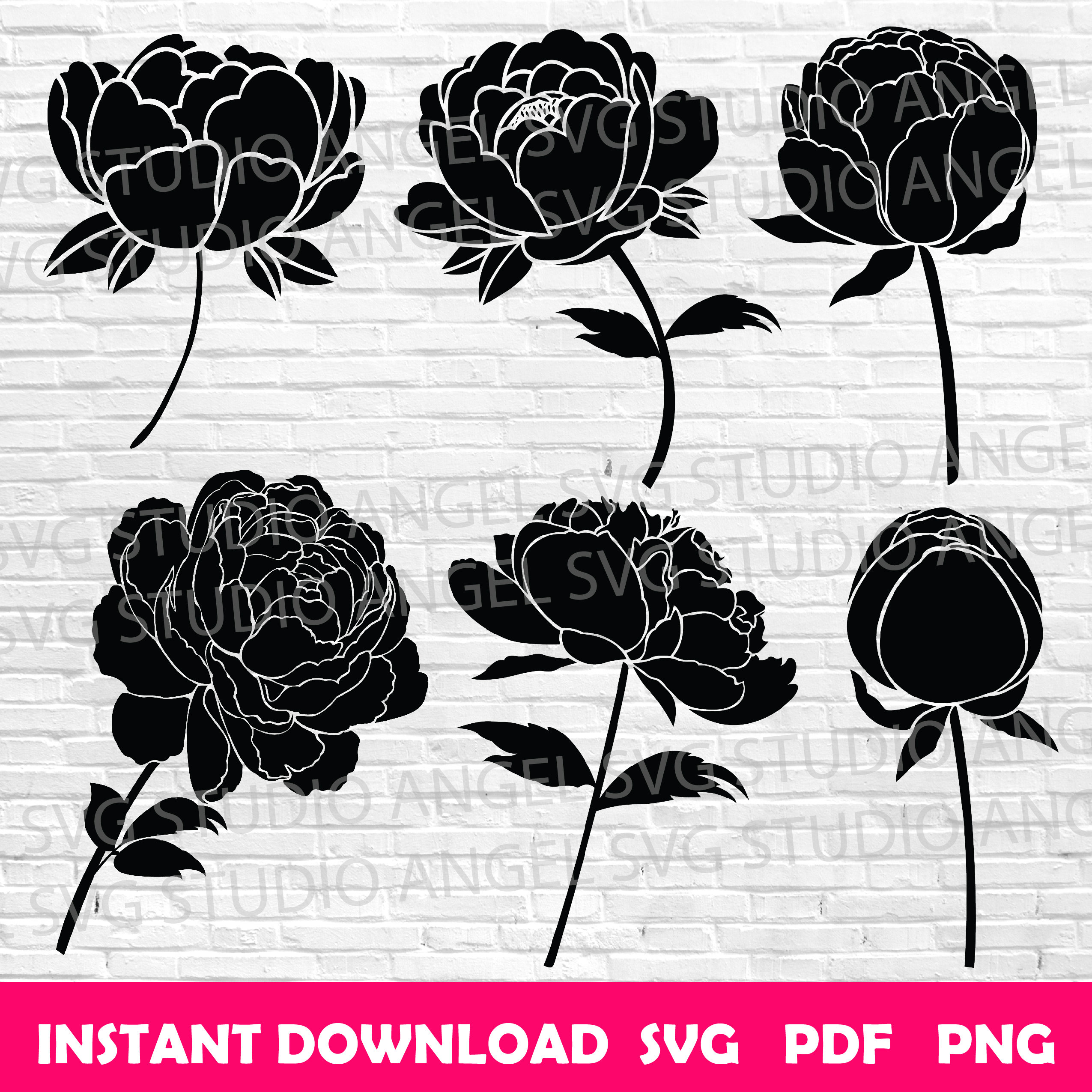 Peony Svg Peonies Svg Peony Cricut Svg Peony Svg Cut Files - Etsy Ireland