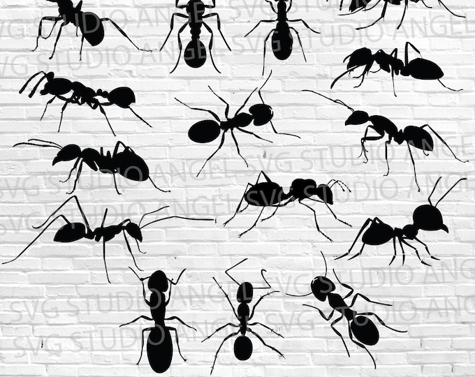 Ants Svg, Antz Svg, Ants Clipart, Cut File for Cricut, Clipart, Digital ...